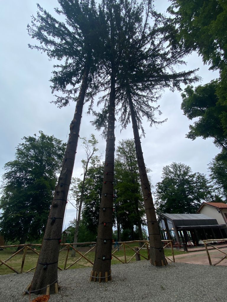 Tree climbing e nuove aree al Mottarone Adventure Park - VCONews.it