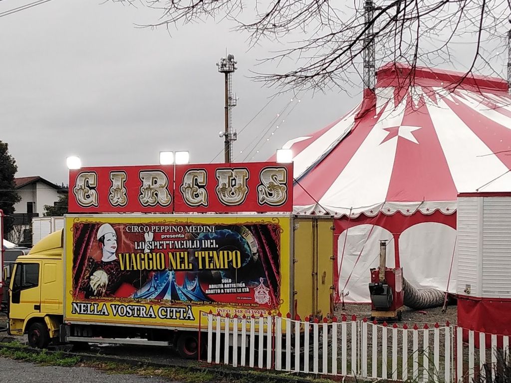 Il circo arriva a Verbania, Lav Vco: "Finalmente nessuno spettacolo con ...